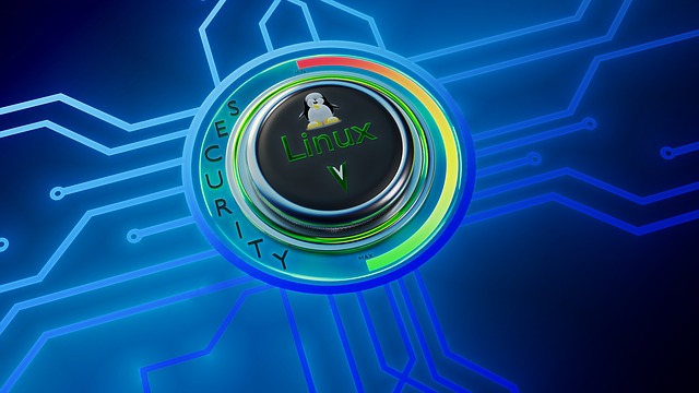 Top Ten Ssh Commands For Linux Prolimehost Blog 0784